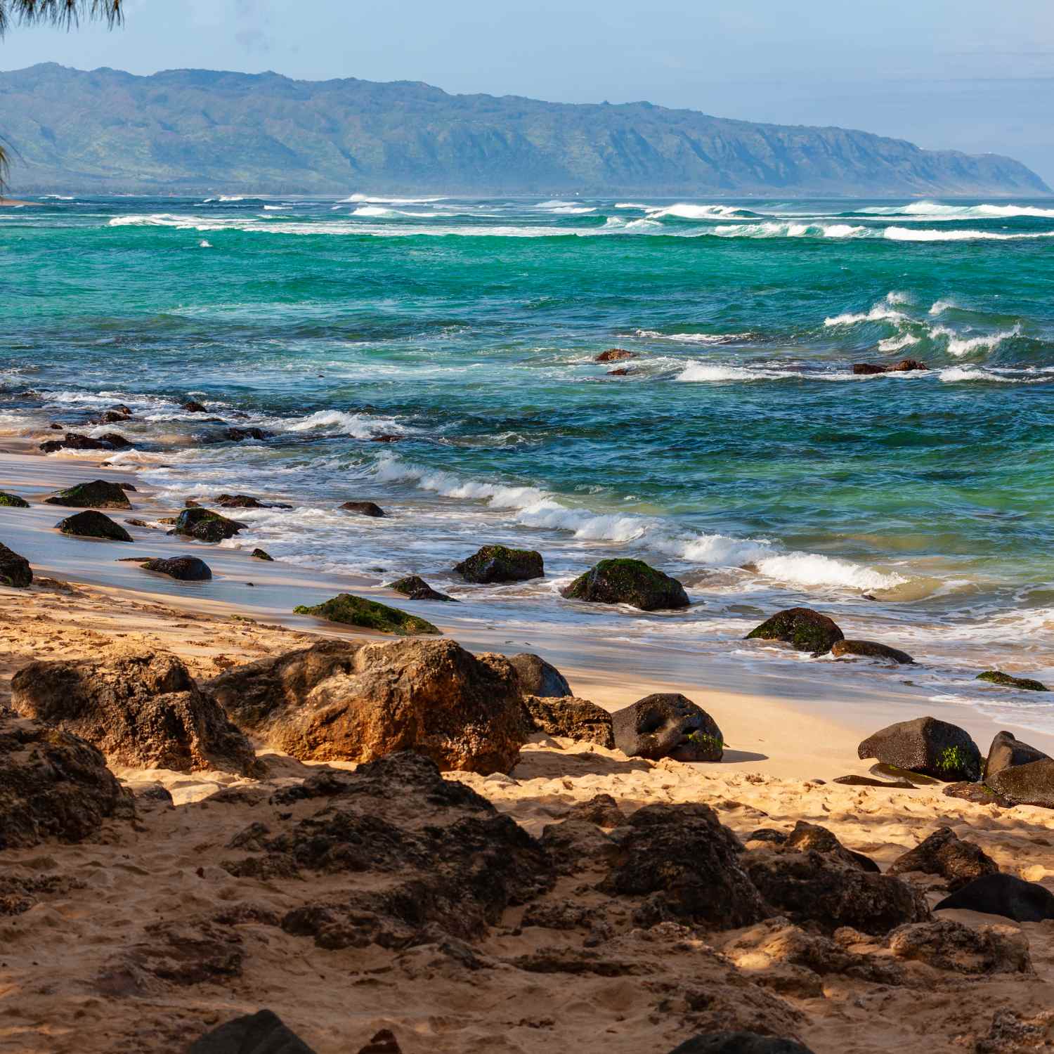 Laniakea Beach: Home of Hawaii’s Green Sea Turtles | Hawaii Aloha Travel